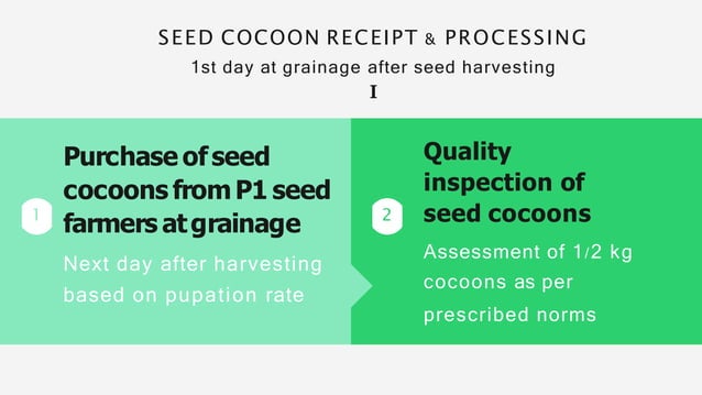BIVOLTINE HYBRID PRODUCTION- CSB | PPTX | Infectious Diseases | Diseases and Conditions
