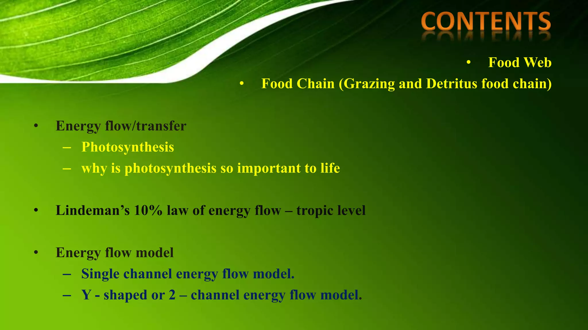 Food web structure and energy flow | PPTX