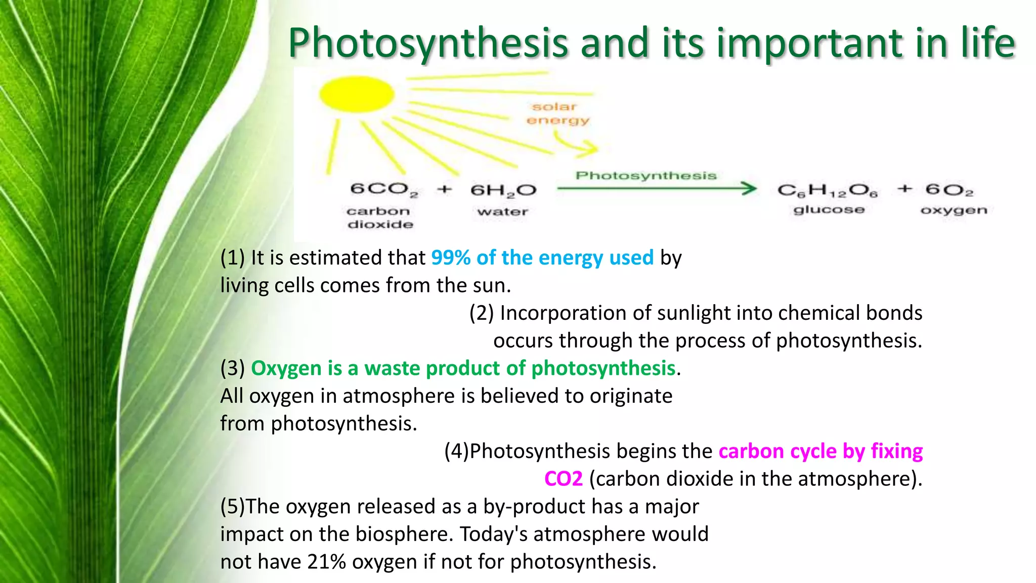 Food web structure and energy flow | PPTX