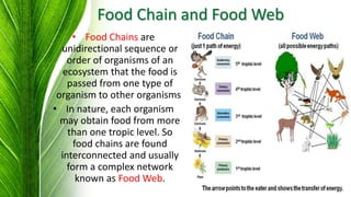 Food web structure and energy flow | PPT