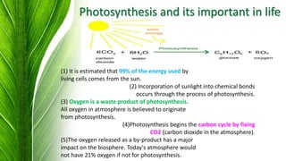 Food web structure and energy flow | PPTX