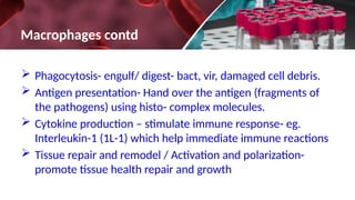 CELLS AND ORGANS OF THE IMMUNE SYSTEM miCORBIOL | PPT