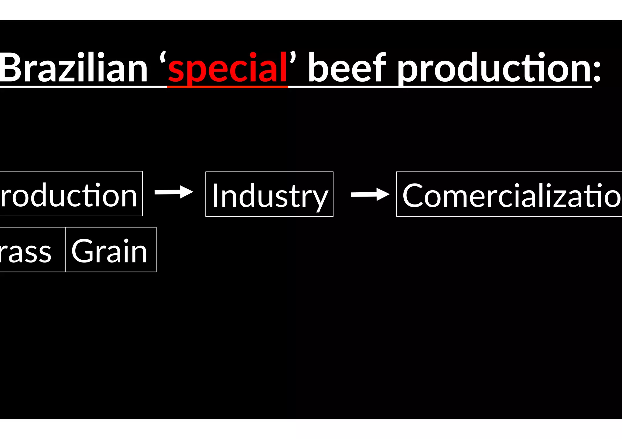 Brazilian Beef Production and Quality | PDF