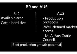 Brazilian Beef Production and Quality | PDF