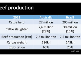 Brazilian Beef Production and Quality | PDF
