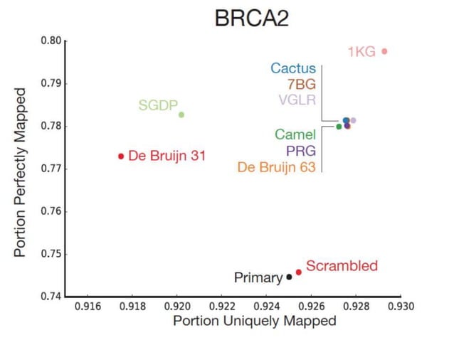 Variation reference graphs and the variation graph toolkit vg | PPT