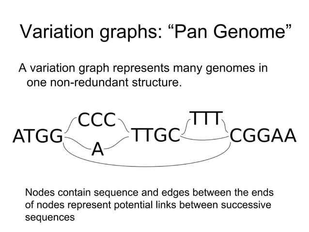 Variation reference graphs and the variation graph toolkit vg | PPT