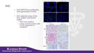Dr. Ben Hause - Pathogen Discovery Using Metagenomic Sequencing | PDF