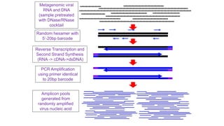 Dr. Ben Hause - Pathogen Discovery Using Metagenomic Sequencing | PPT