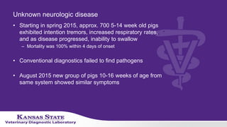 Dr. Ben Hause - Pathogen Discovery Using Metagenomic Sequencing | PDF