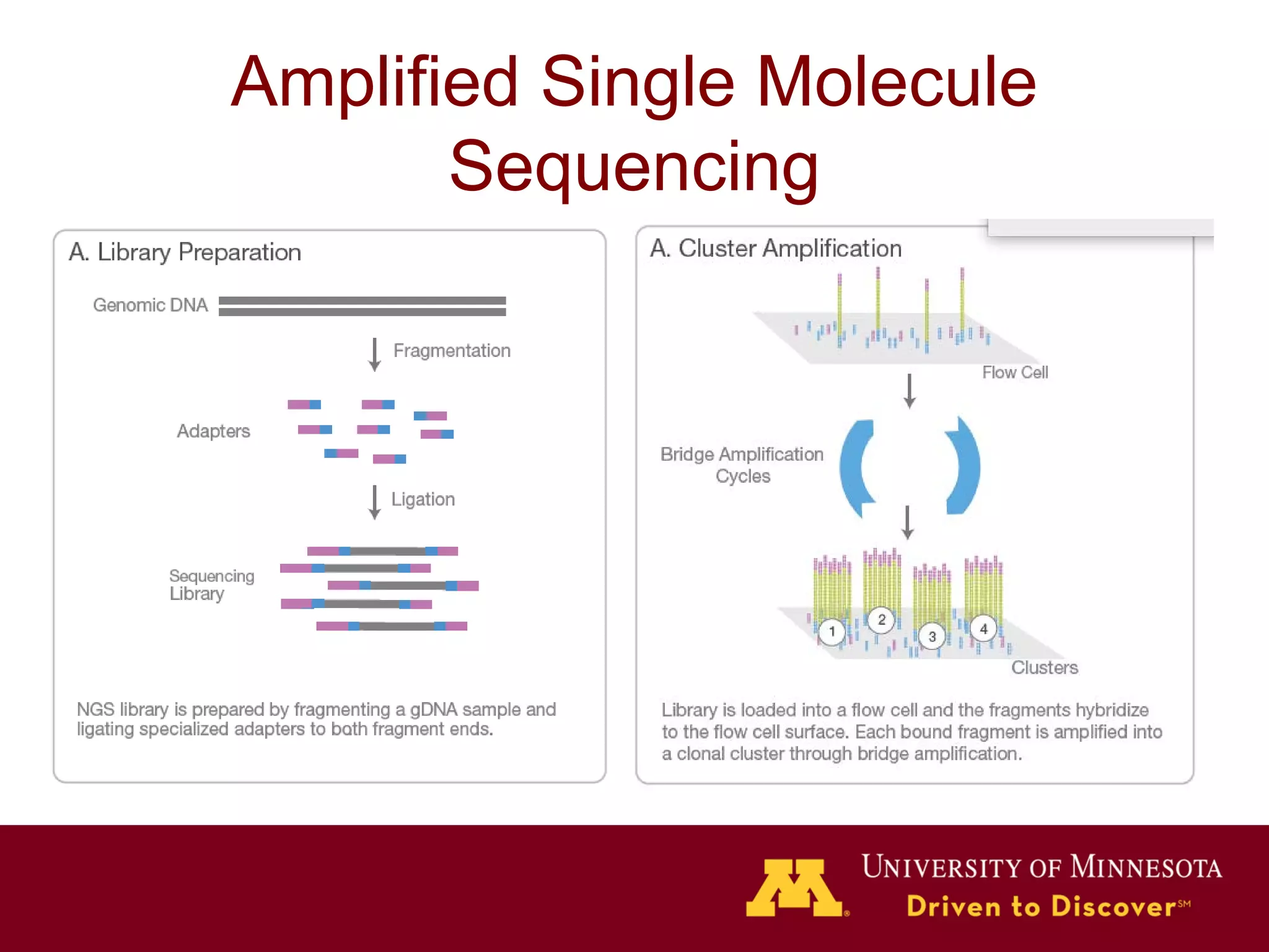 Dr. Douglas Marthaler - Use of Next Generation Sequencing for Whole ...