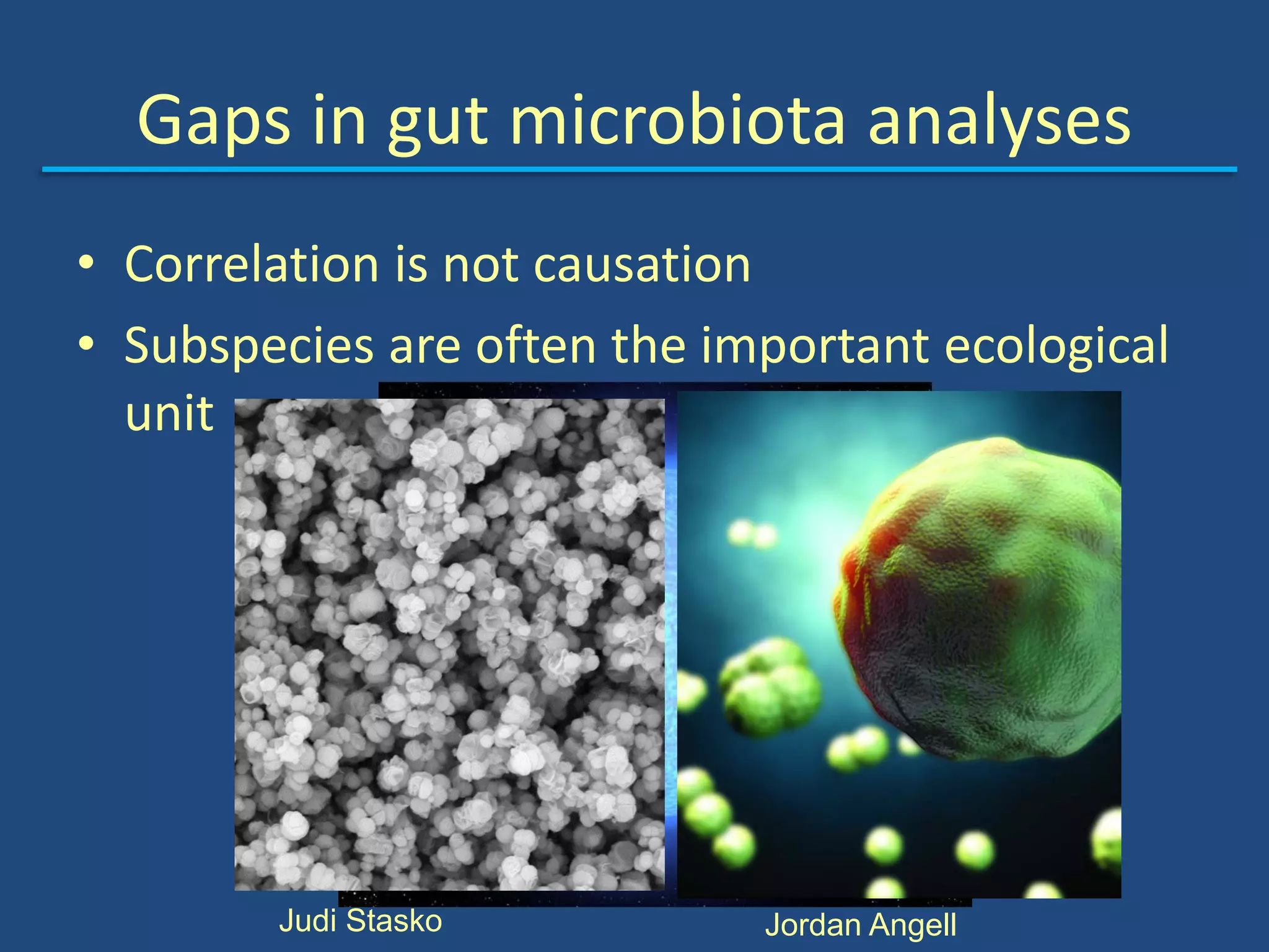 Dr. Heather Allen - The Swine Gut Microbiota: Status and Outlook | PPT