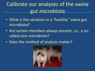Dr. Heather Allen - The Swine Gut Microbiota: Status and Outlook | PDF