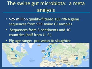 Dr. Heather Allen - The Swine Gut Microbiota: Status and Outlook | PDF