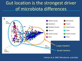 Dr. Heather Allen - The Swine Gut Microbiota: Status and Outlook | PDF