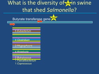Dr. Heather Allen - The Swine Gut Microbiota: Status and Outlook | PDF