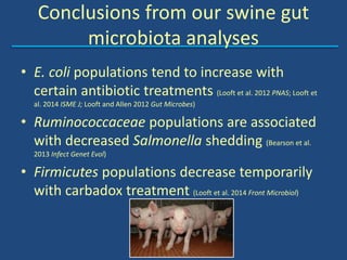 Dr. Heather Allen - The Swine Gut Microbiota: Status and Outlook | PDF