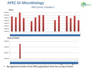 Dr. Tom Rehberger - Early Colonizing Bacteria in the GI Tract - Lessons ...