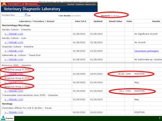 Dr. Laura Greiner - Practical Approaches to Managing Suckling Pig ...