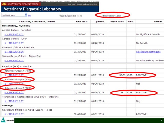 Dr. Laura Greiner - Practical Approaches to Managing Suckling Pig ...
