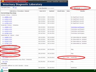 Dr. Laura Greiner - Practical Approaches to Managing Suckling Pig ...