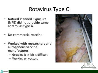 Dr. Laura Greiner - Practical Approaches to Managing Suckling Pig ...