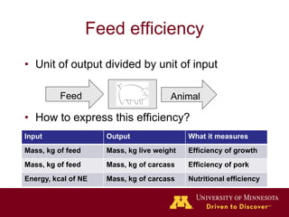 Dr. Pedro Urriola - Feed efficiency: Measuring, Genetic Trends, and ...
