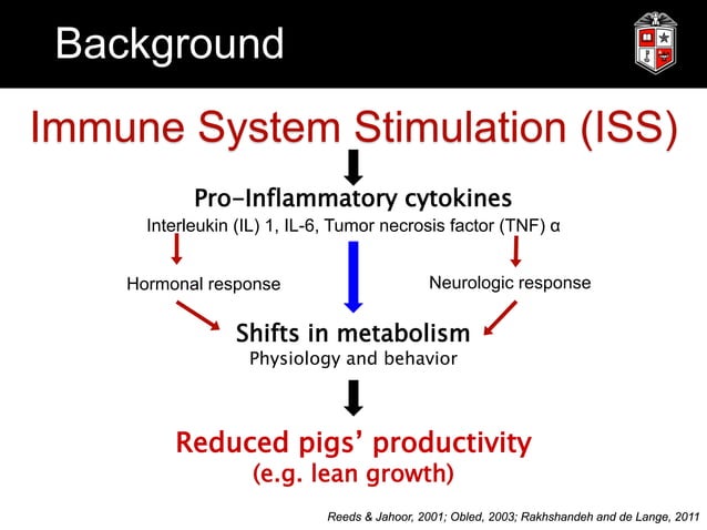 Whitney Stuart - Infection with PRRSV Affects Body Protein Deposition ...