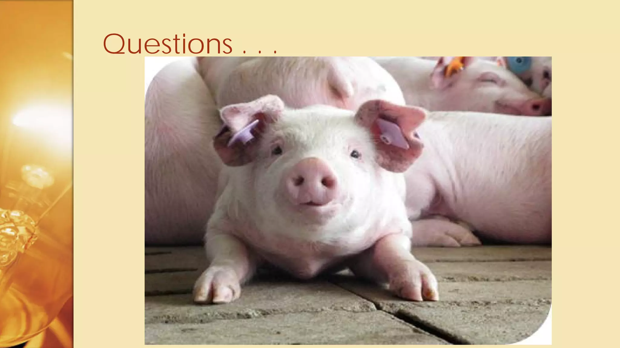 Dr. Dave Baumert - Impact of Batch Farrowing on Health and Productivity ...