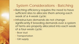 Dr. Dave Baumert - Impact of Batch Farrowing on Health and Productivity ...