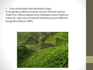 Modern Agroforestry Systems | PPTX