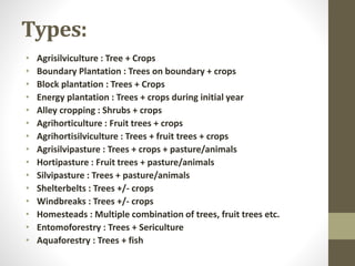 Modern Agroforestry Systems | PPTX