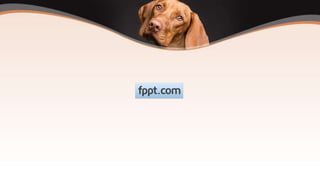160961-dog-template-16x9.pptx