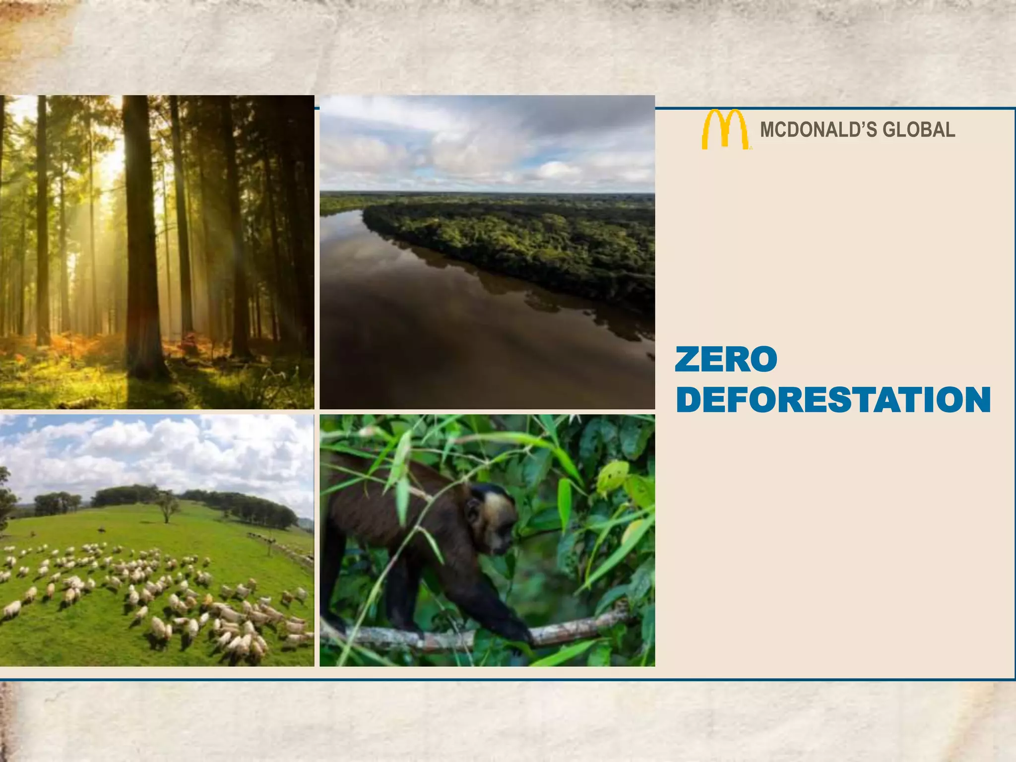 Mr. Ignacio Blanco-Traba - Zero Deforestation | PPT