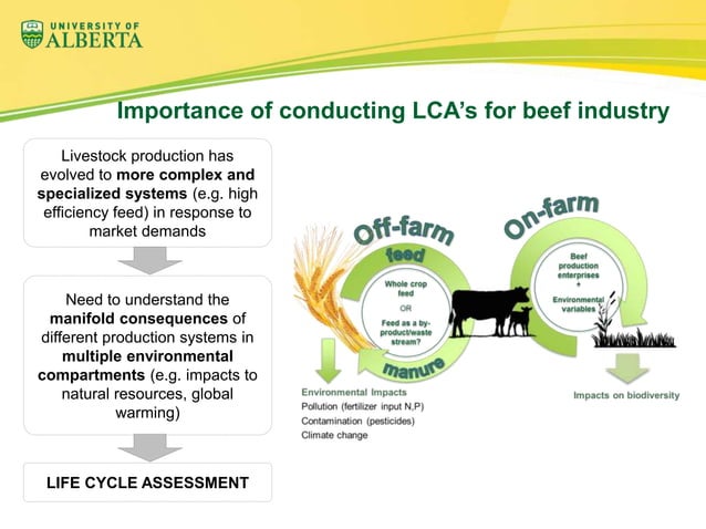 Dr. Danielle Maia De Souza - Assessing impacts of beef production on ...