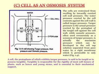 1610773947_FundamentalsofPlantPhysiology3.1Theory-LectureNote-Jan2021.pdf