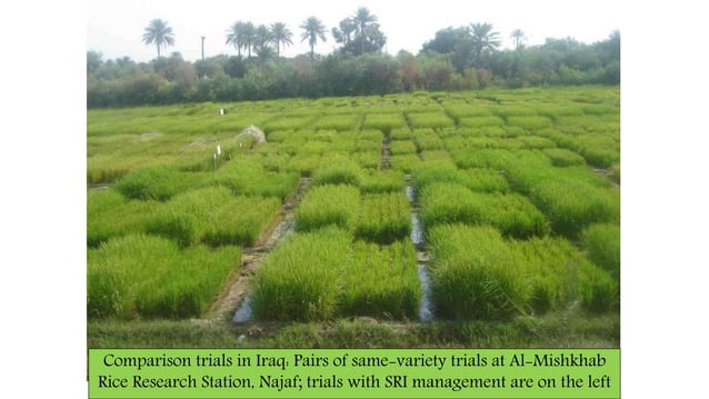 1611 - Agroecological Strategies for Regenerative, Climate-Smart ...