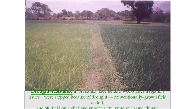 1611 - Agroecological Strategies for Regenerative, Climate-Smart ...