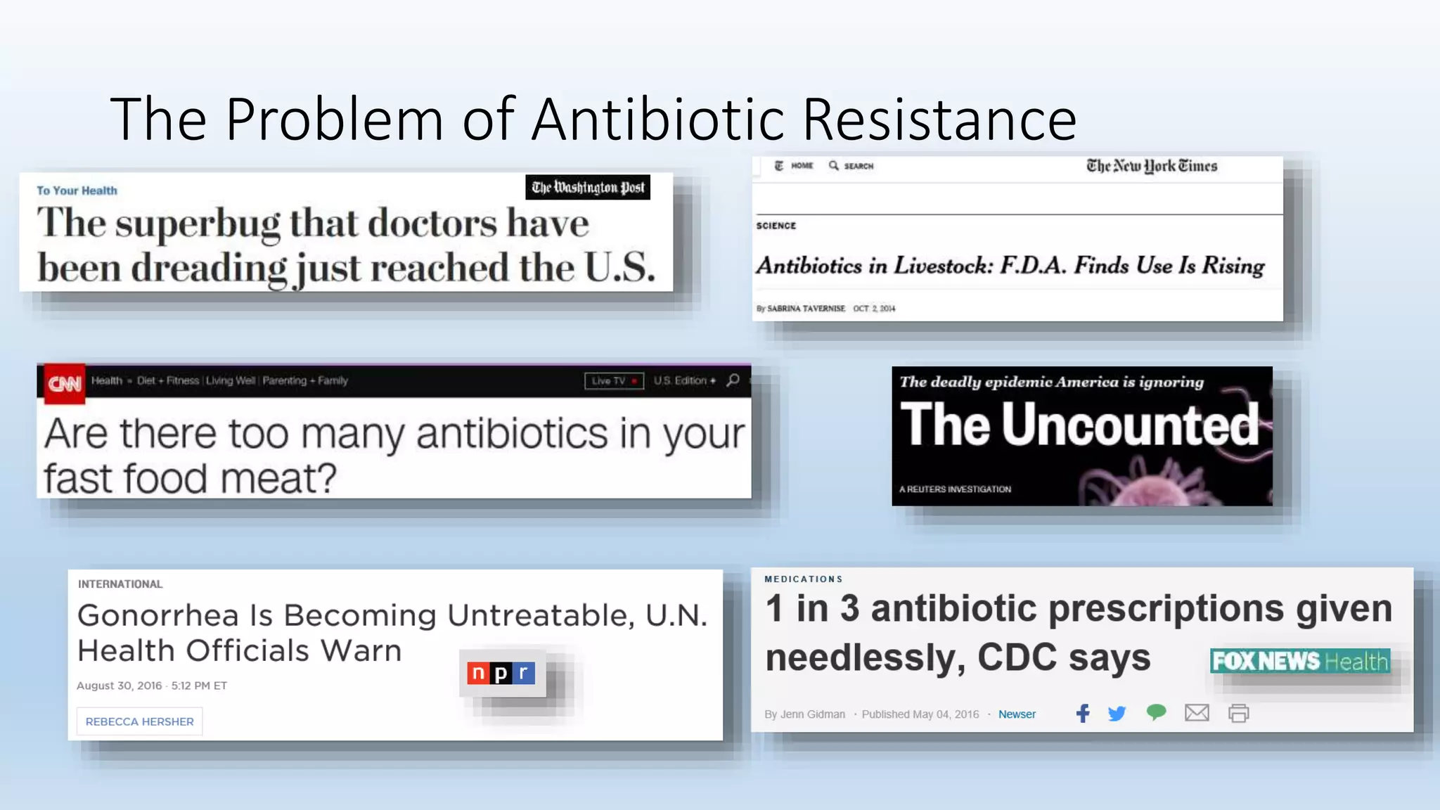 Dr. Amanda Beaudoin - Building a Coalition for One Health Approach to ...