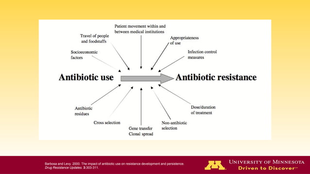 Dr. Tim LaPara - Leadership and Responsibility for Antibiotic Stewardship | PPT