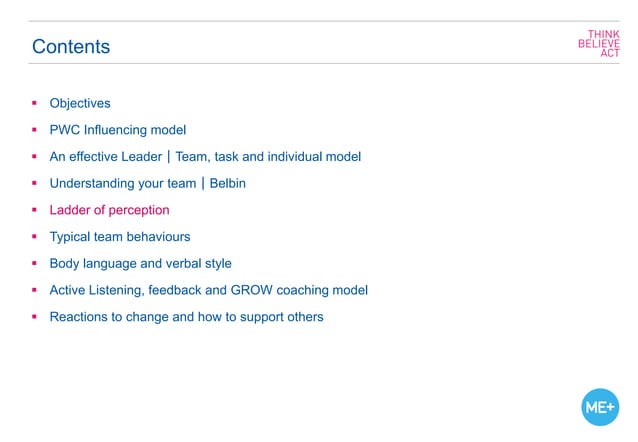 Supporting materials - ladder of perception | PDF