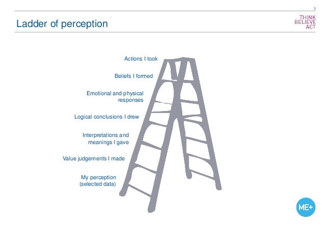 Supporting materials - ladder of perception