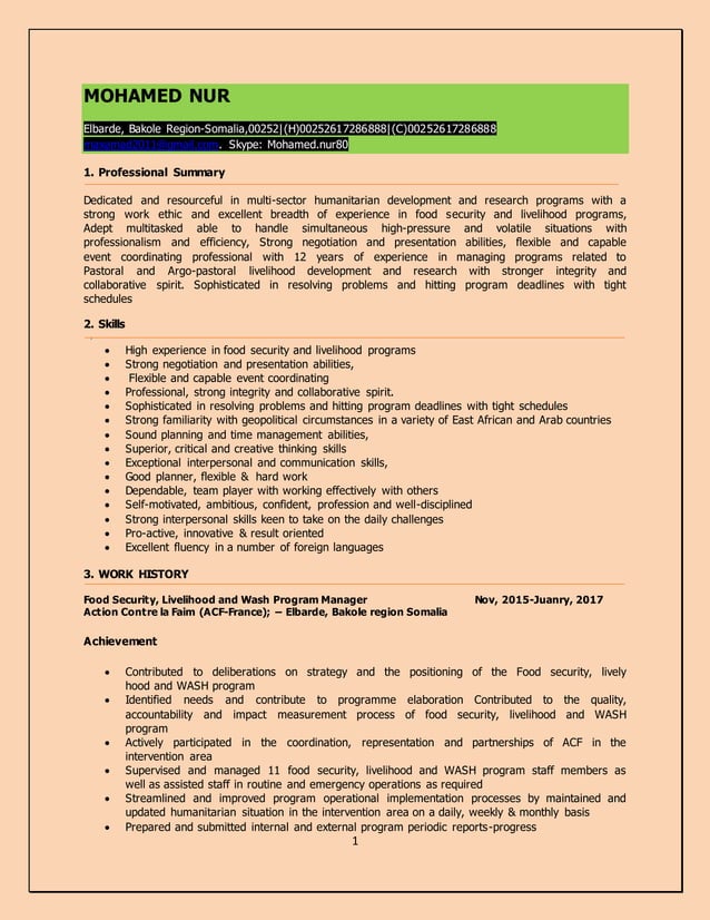 CV Mohamed Abdella | PDF