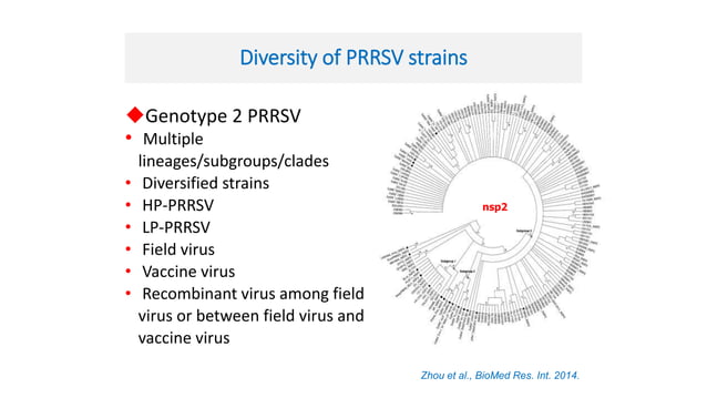 Dr. Hanchun Yang - Pathogenesis and control of Chinese highly ...