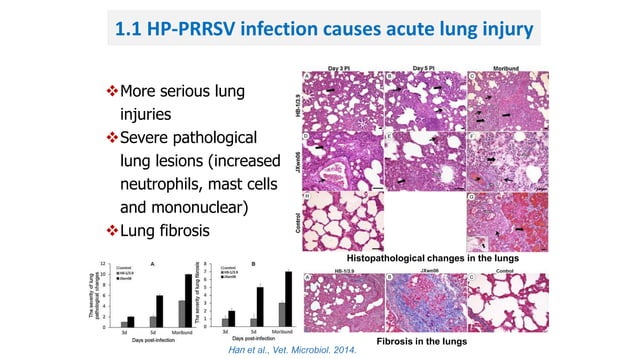 Dr. Hanchun Yang - Pathogenesis and control of Chinese highly ...