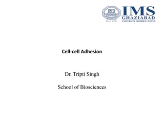 Cell cell adhesion..... Learning........ | PPTX | Biological Sciences ...