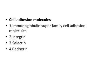 Cell cell adhesion..... Learning........ | PPTX | Biological Sciences ...