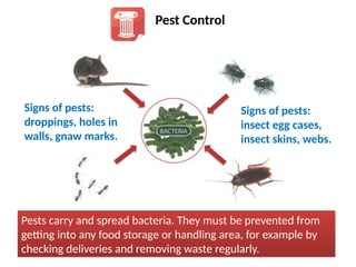 food safety essentials training course,, | PPT