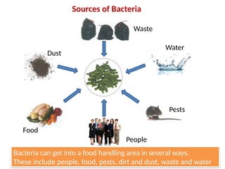 food safety essentials training course,, | PPT