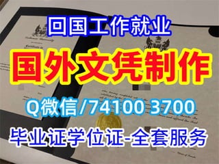 UTA Master Diploma | PDF